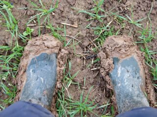 How Fast Do Racehorses Run? : Bet4bettor Horse Racing Advice