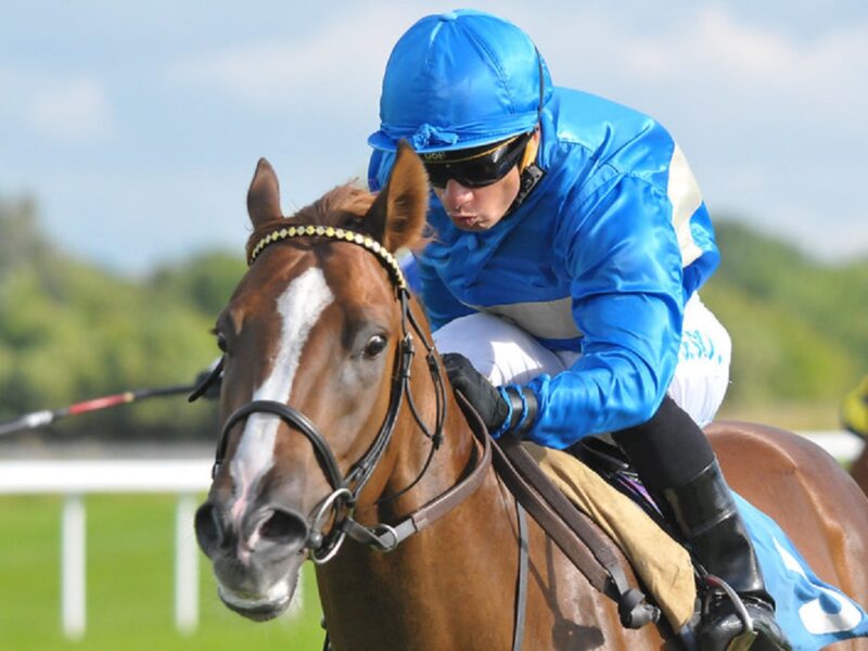 Flat horses to follow 2020 : Bet4bettor Racehorse Prospects