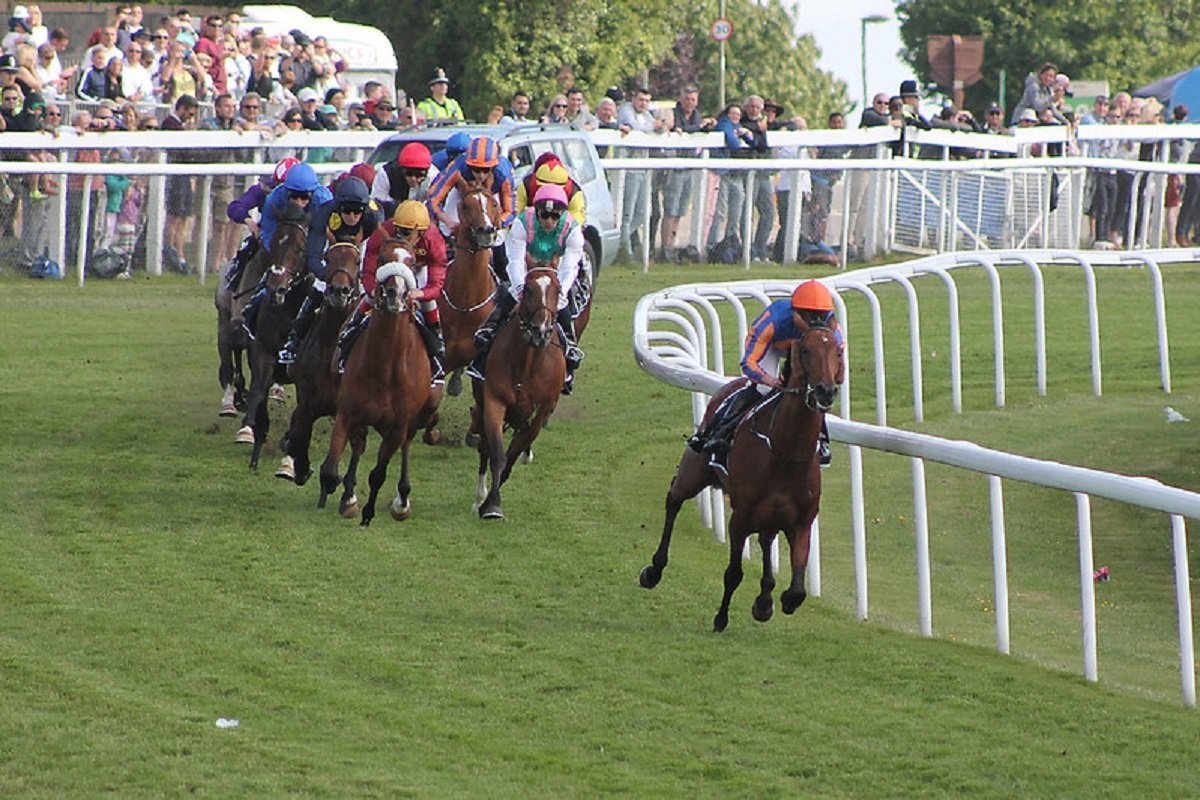 Epsom Derby Preview : Bet4bettor Horse Racing Advice